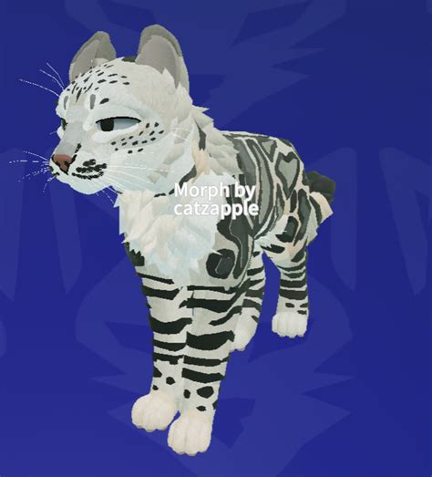 16 Wcue Bigwild Cats Ideas Wild Cats Cats Warrior Cats