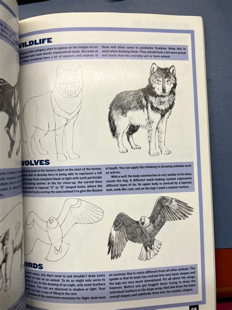 The Best Of WIZARD Basic Training How To Draw Character Creation