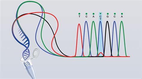 Michelle Hwang On Linkedin Document Connect