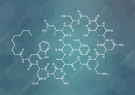 Daptomycin Antibiotic Drug Molecular Model Stock Image F0251949