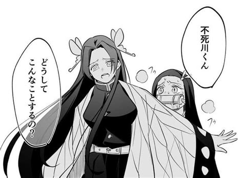 Kanae And Nezuko Citas De Manga Arte De Vida Silvestre Animales