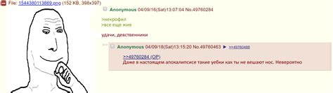 Scp 4991 Вот так мир и умирает не с грохотом а под щитпост