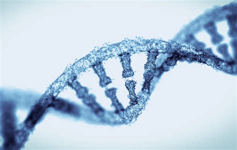 A List Of Common Hereditary Diseases You Should Know About