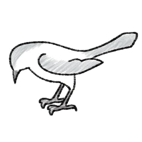 Mockingbird Drawing At Explore Collection Of