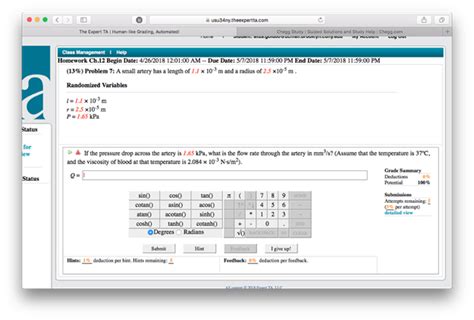 Solved EX Excel Module Creating A Worksheet And A Chart Point To Answer