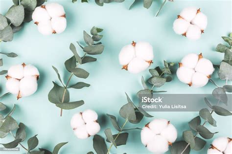 신선한 유칼립투스 브랜스와 코튼 플라워 헤드로 만든 창의적인 프레임 개념에 대한 스톡 사진 및 기타 이미지 개념 고풍스런 공휴일 Istock