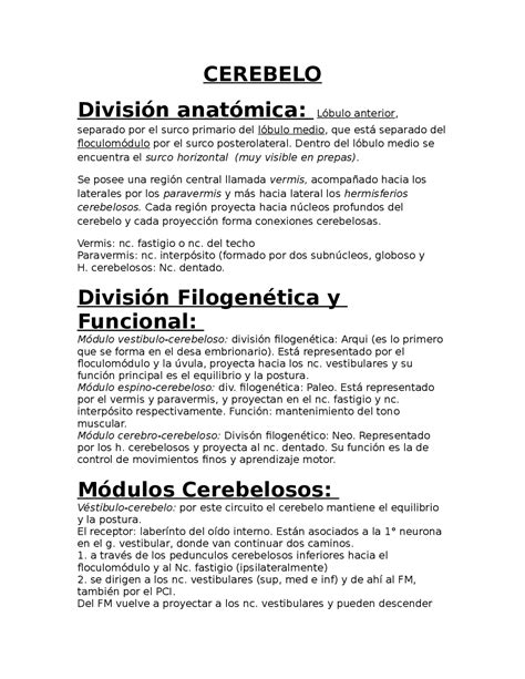 Cerebelo Divisiones Modulos Cerebelosos Apuntes De Anatomía Docsity