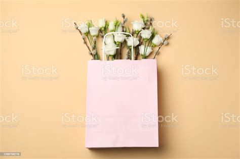 베이지 색 배경에 장미와 버드 나무 고양이핑크 종이 가방 0명에 대한 스톡 사진 및 기타 이미지 0명 3월 가방 Istock