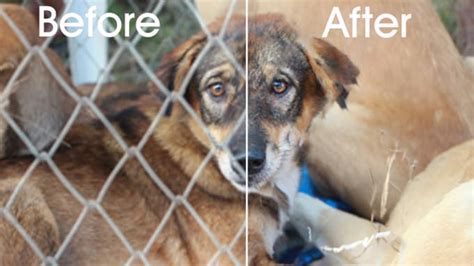 edit photos manually custom photo editing by logohost fiverr