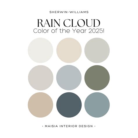 Rain Cloud Sherwin Williams Color Palette Of The Year 2025 Whole House