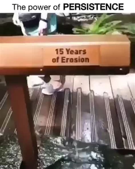 Sufian Zulfiqar On Linkedin Persistence Successmindset Growth Leadership Longtermsuccess