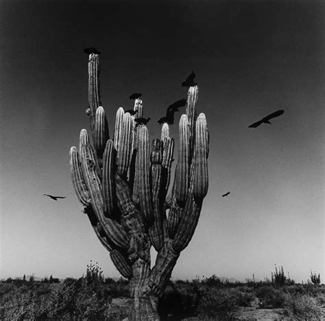 Los Grandes Fotografos Graciela Iturbide 1942