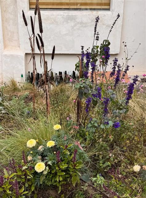 박지윤·최동석 이혼 소송 중 같은 날 꽃구경이라니이것 참 공교롭네