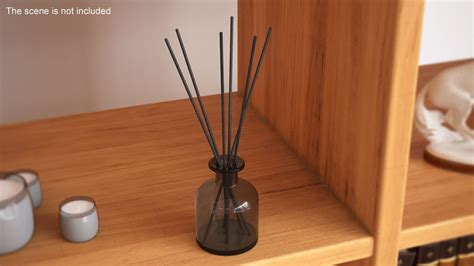 Aroma Reed Diffuser Bottle With Sticks 3d Model 39 3ds Blend C4d