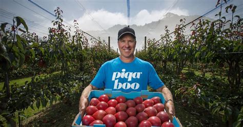 Piqa Boo Set For Global Commercial Launch Article Fruitnet