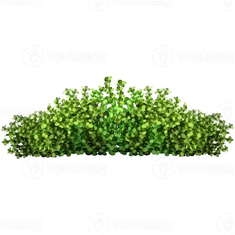 Green Bush And Tree For Landscape And Architecture Drawing Elements
