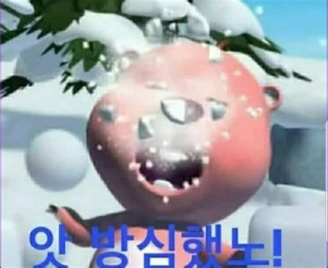 루피 짤 좀 주세요 지식in