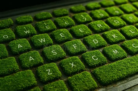 Creative Keyboard Covered With Natural Moss A Symbol Of Eco Friendly