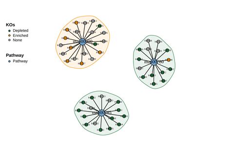 Generalized Reporter Score Based Enrichment Analysis For Omics Data