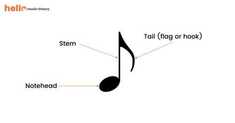 The Different Parts Of A Music Note