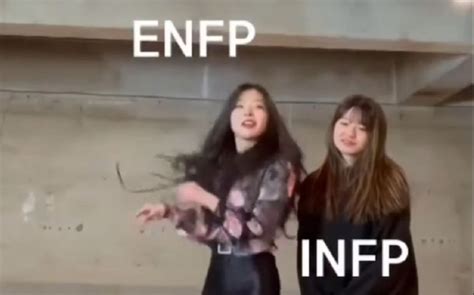 Mbti谐音狗 Bilibili B站 无水印视频解析——yiuios易柚斯