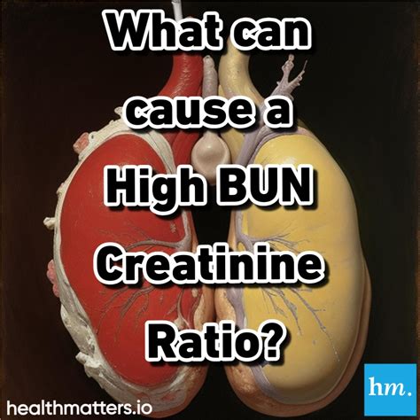 Understanding High Bun Creatinine Ratio Causes
