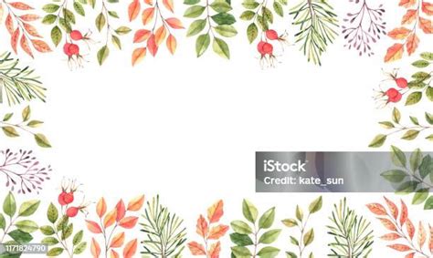 손으로 그린 수채화 그림입니다 가을 잎 가문비 나무 가지와 열매 프레임 포리스트 디자인 요소입니다 안녕하세요 가을 계절 광고
