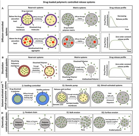 [22 Min Read] Differences That Divide Us The Role Of Racial And Sex Based Medicine R Sar Med