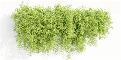 Hanging Wall Plants Vol 171 Blender 3d Model Turbosquid 2159029