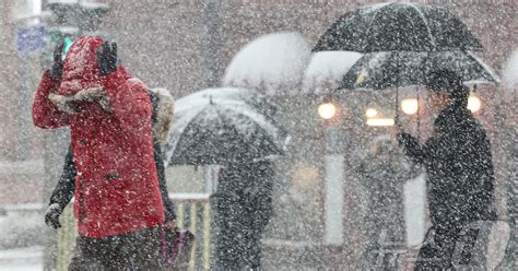 경북 문경 6 2㎝ 눈…김천 등 6개 시·군에 대설주의보