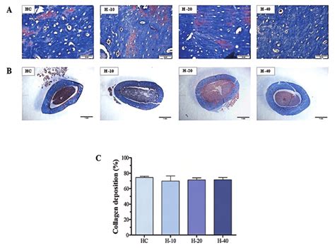 Anti Diabetic Polyherbal Mixture Effects On Healthy Experimental