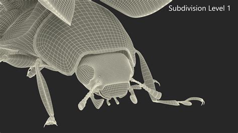 3d Realistic Flying Ladybug Model Turbosquid 2326303