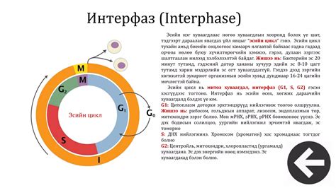 эсийн хуваагдал сайжруулсан Pptx