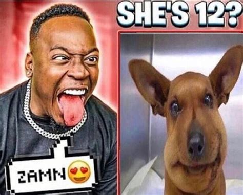 Zamn Shes 12 Know Your Meme
