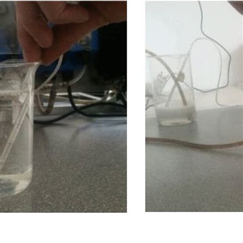 Flow Chart Of Flotation Kinetics Download Scientific Diagram