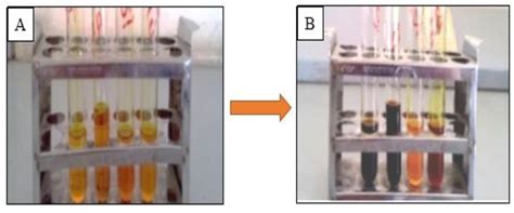 Figure 2 From Production Of Pectinases Towards The Extraction Of