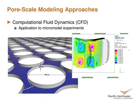 Ppt Pore Scale Modeling Of Reactive And Non Reactive Transport Upscaling And Multiscale