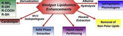 Lipidomics At The Interface Of Structure And Function In Systems Biology Chemistry And Biology