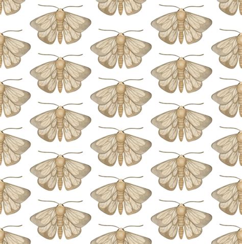 Premium Vector White Vector Seamless Pattern With Watercolor Moths