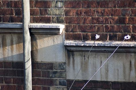 The Naked Brick Sinnspiel