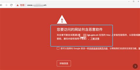 访问网站时提醒“您要访问的网站包含恶意链接”，遇到这种情况，怎么处理？ 支点网络