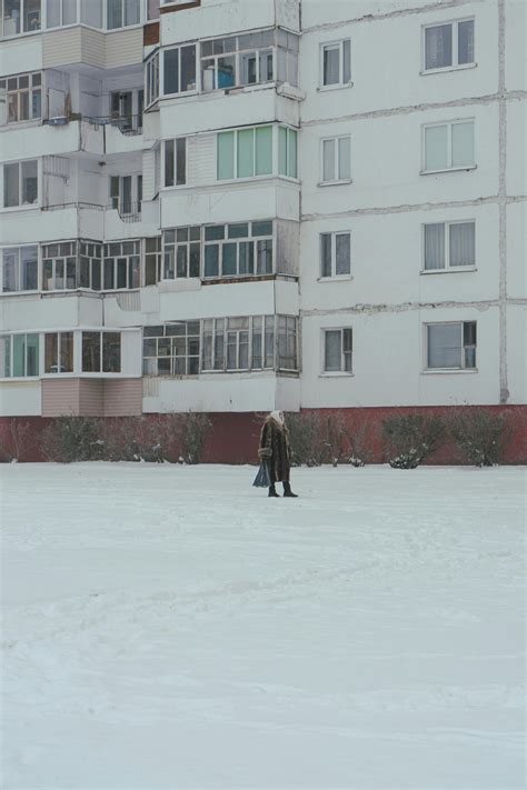 집 밖의 건물 외장 걷는 여자 겨울 겨울 마모 겨울 시즌 겨울 옷 겨울철의 계절 교외 지역 날씨 낮 눈