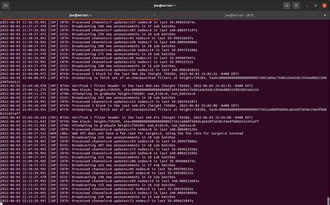 How To Run Your Own Lightning Node With Lightning Network Daemon Lnd