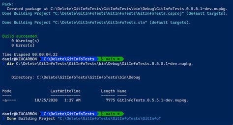 Not Respecting Generate Nuget Package On Build Issue Devlooped Nugetizer Github