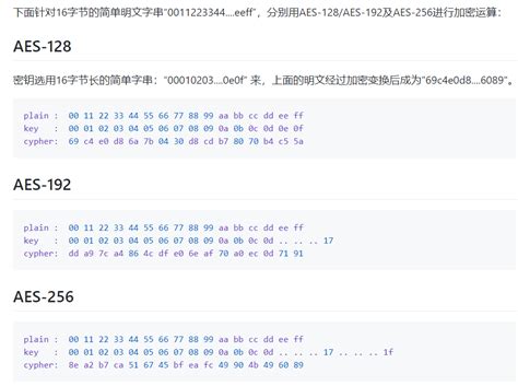 Cbc Padding Oracle Attack Conclusion · Automnes Shadow