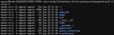Bug Import Deepspeed Error When Building From Source · Issue 2060