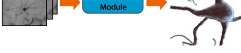 the input and output data of the reconstruction module download