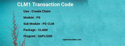 Clm1 Sap Tcode For Create Claim
