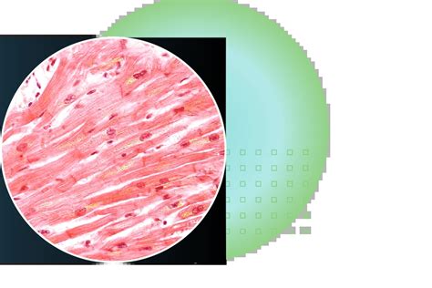 Assess Live Cell Function Pixel Applications CytoTronics