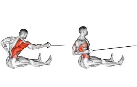 Домашни упражнения Mybodycreator